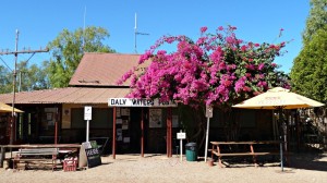 The Quirky Character of the Daly Waters Pub