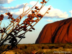 Uluru Facts - The Beginner's Guide to Visiting Uluru